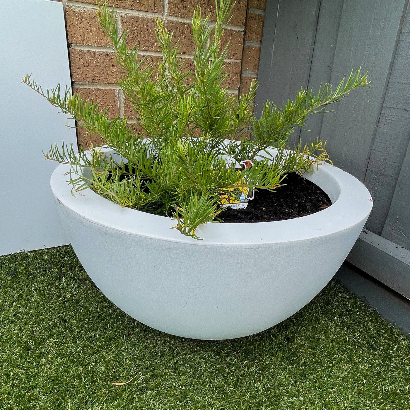 Rio Plant Pots | Fibreglass Victoria | Aussie Fibreglass Experts