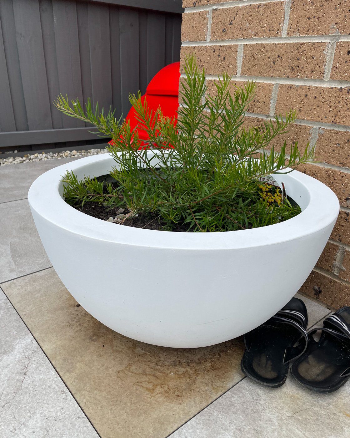 Rio Plant Pots | Fibreglass Victoria | Aussie Fibreglass Experts