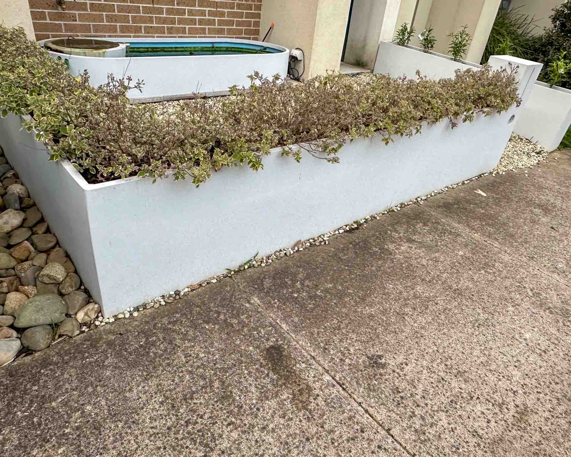 Custom Planters | Fibreglass Victoria