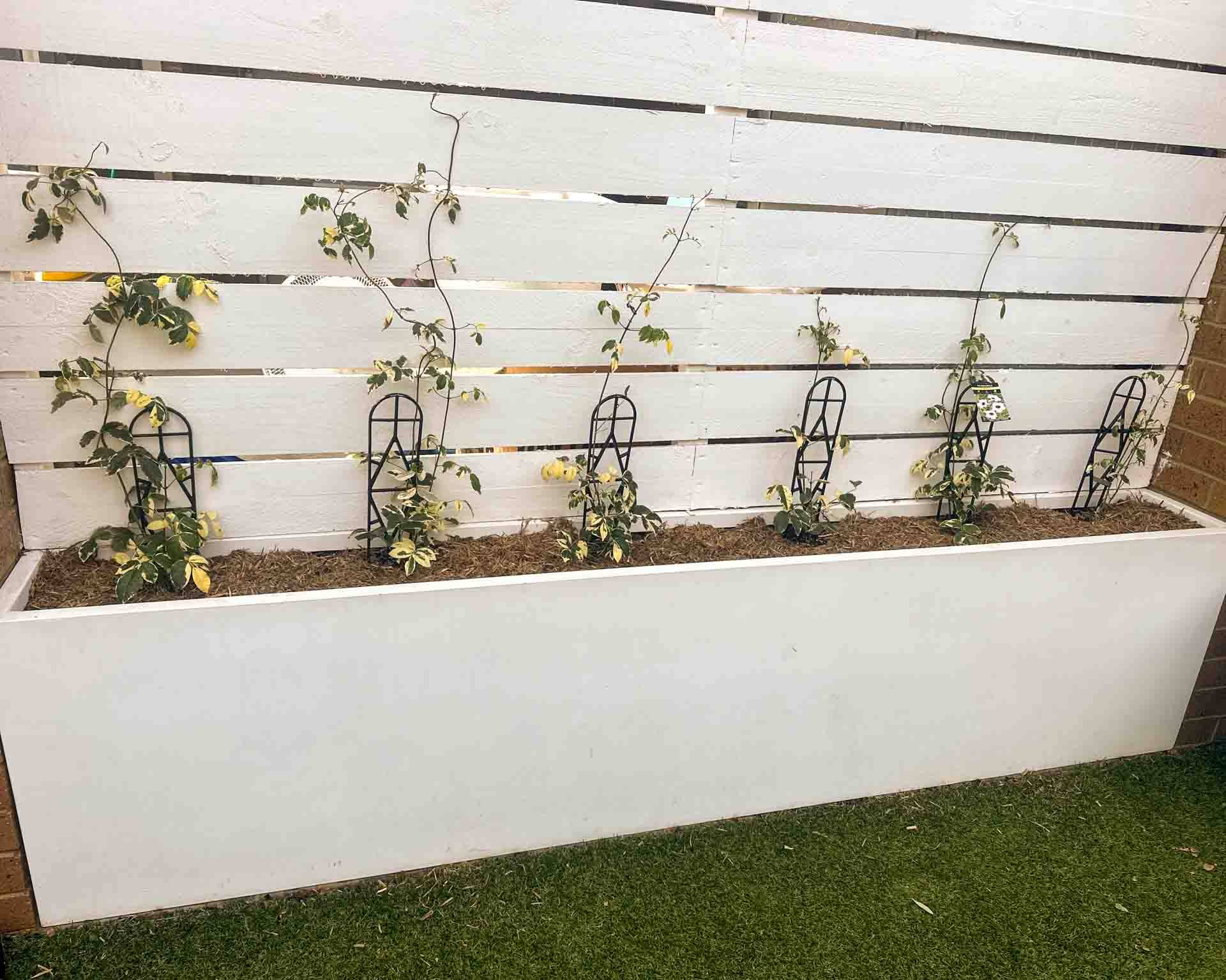Custom Planters | Fibreglass Victoria